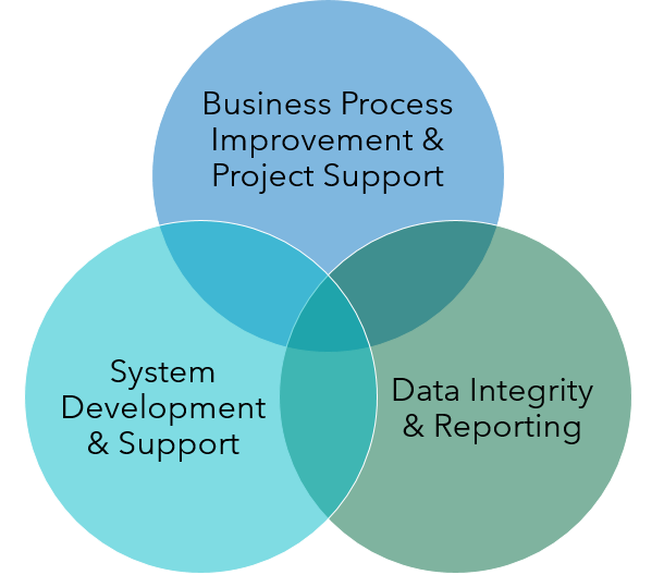 Business Integrations and Solutions (BIS) | Office of the Vice ...